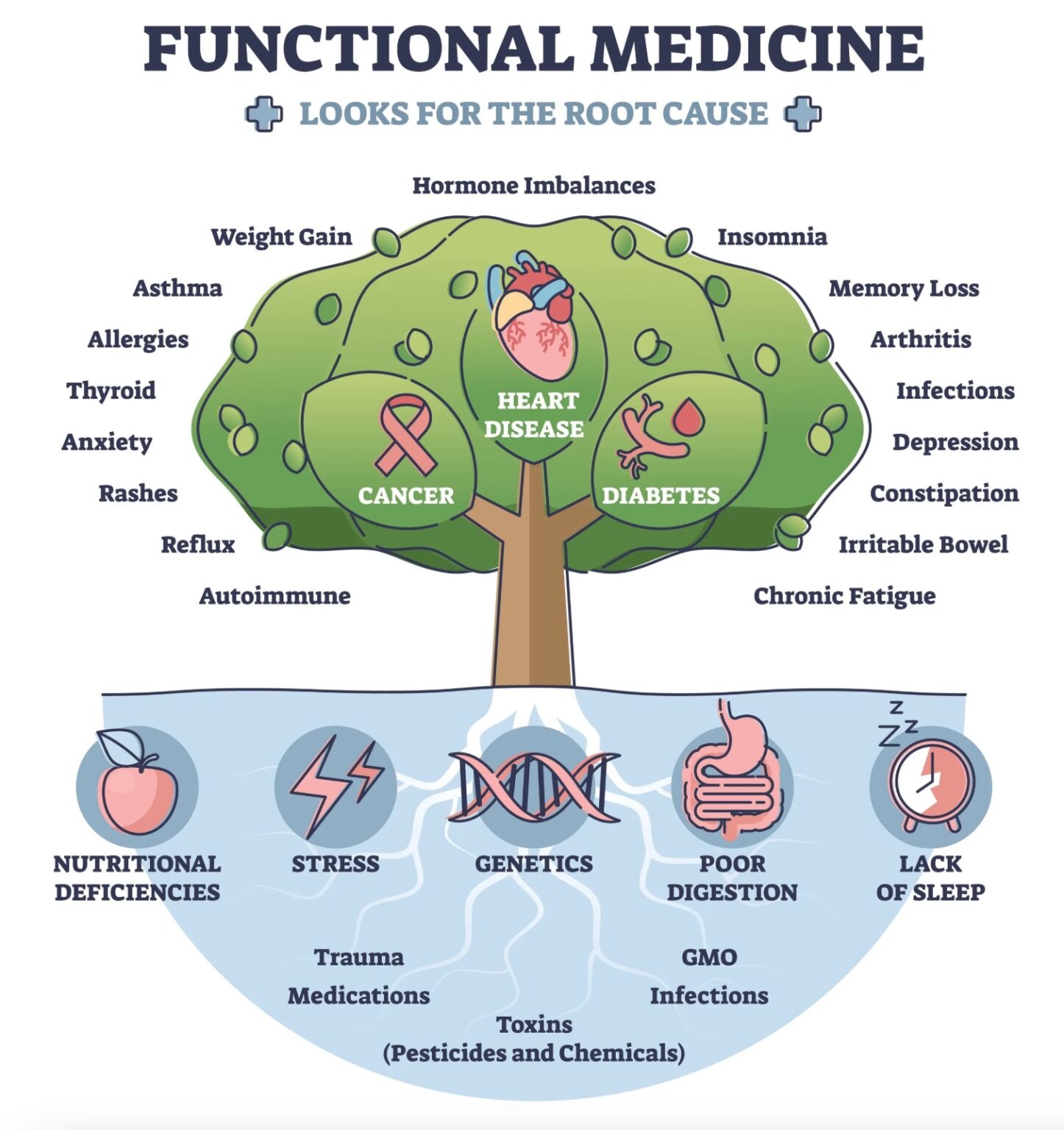 How Functional Medicine Heals Autoimmune Disease